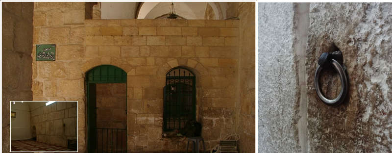 A Dream Come True: My Journey to Al-Aqsa - Muslim Ink