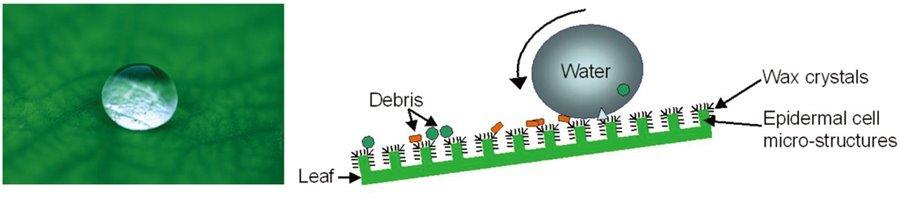 8 Ways New Aircrafts Copy Allah's Amazing Creation - Muslim Ink