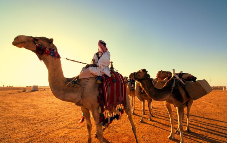 Understanding The Thamud - Muslim Ink